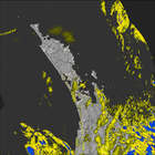 Auckland Central Weather Forecast and Observations - MetService New Zealand