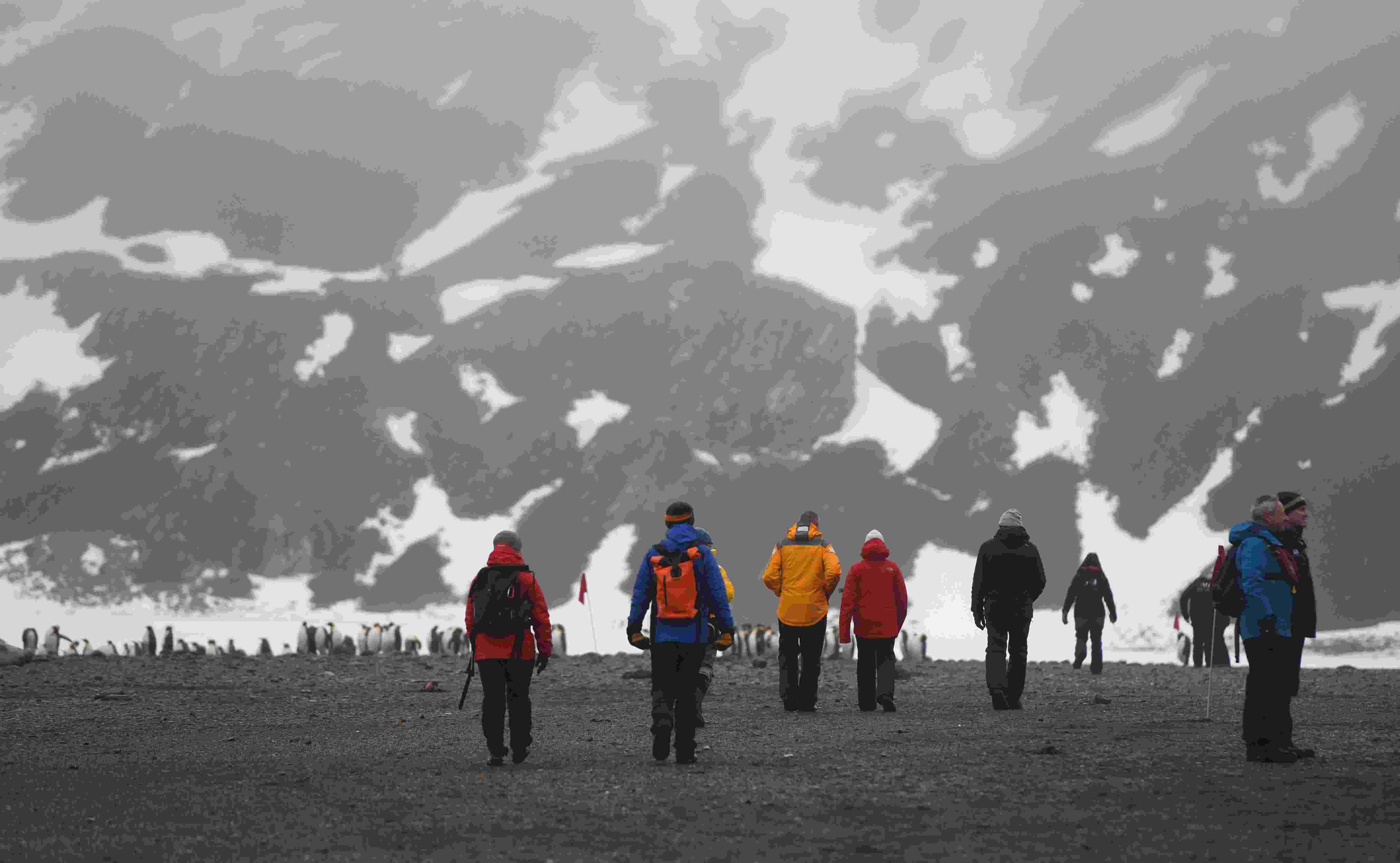 South Georgia - MetService New Zealand